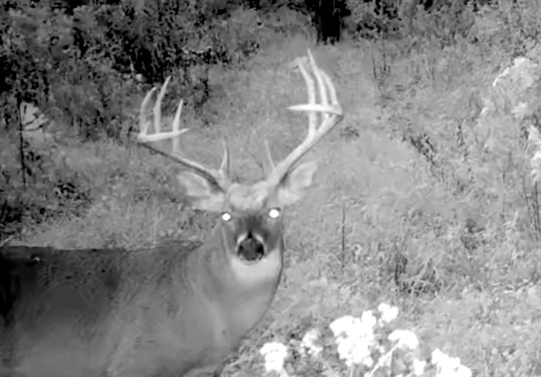 Trophy Properties And Auction - Trophy Properties and Auction | LandHub