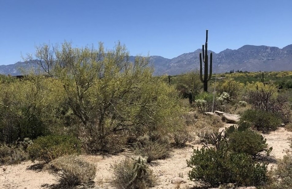 Arizona Land For Sale | LandHub